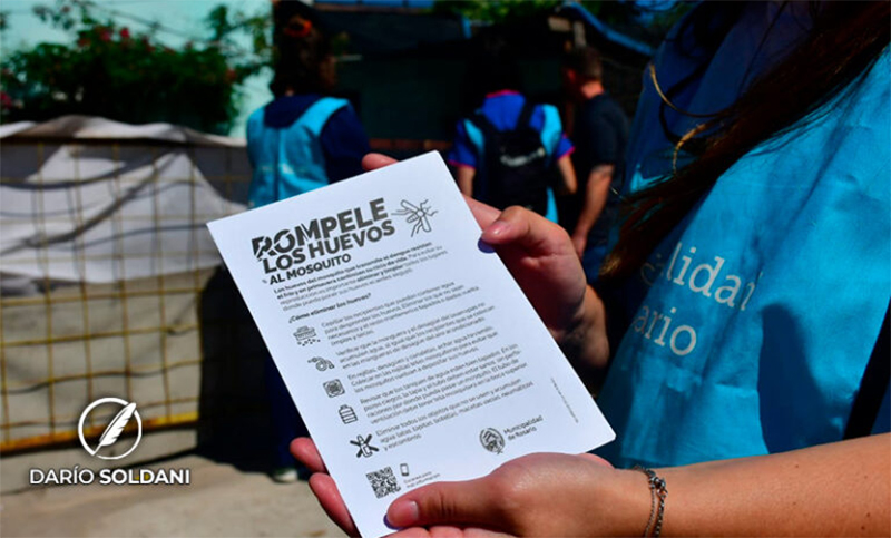 Objetivo Dengue: recuerdan sostener los cuidados y aseguran que «el ...